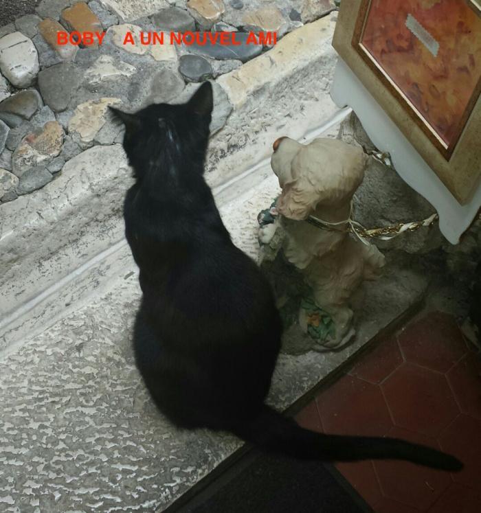 mon travail d atelier - Alarcon Dalvin